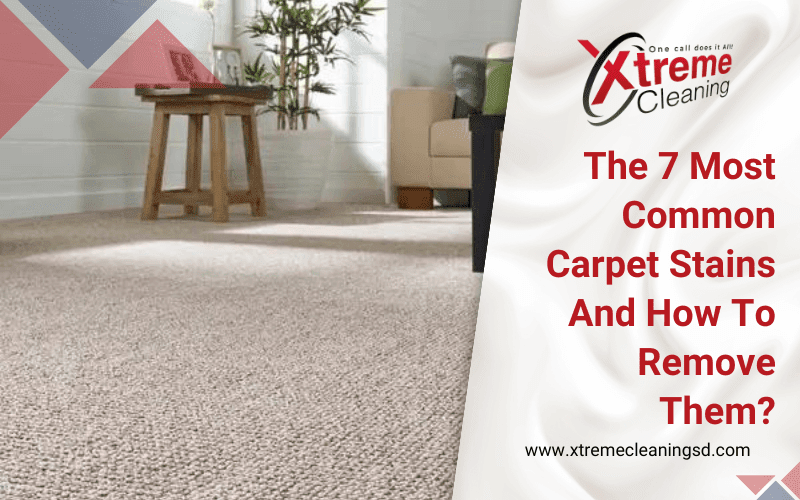 The 7 Most Common Carpet Stains And How To Remove Them?| Xtreme Cleaning